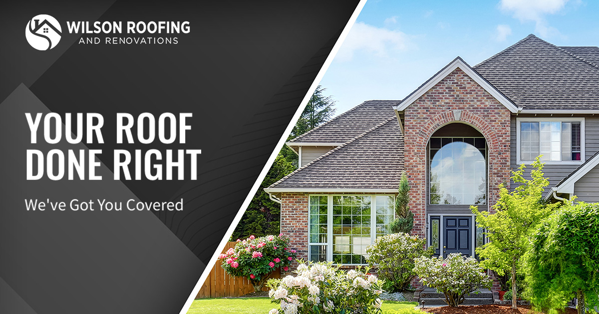 Tampa Roof Types | Wilson Roofing and Renovations