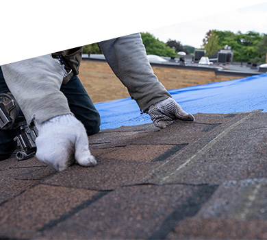Tampa Roofers | Wilson Roofing and Renovations